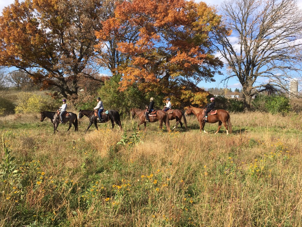 Trail Rides | BarL Stable
