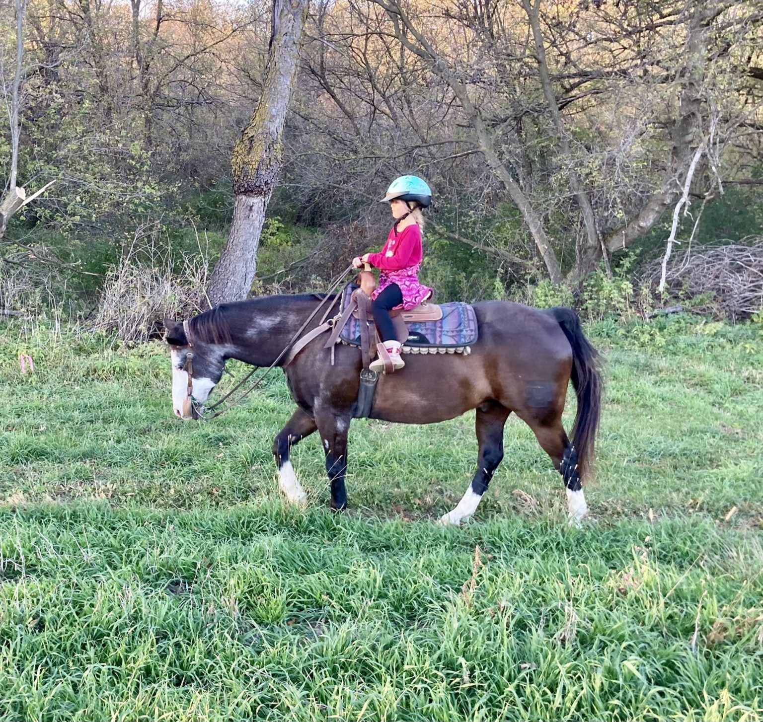 Trail Rides | BarL Stable